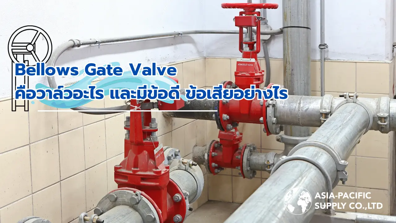 What is a Bellows Gate Valve and what are its advantages and ...