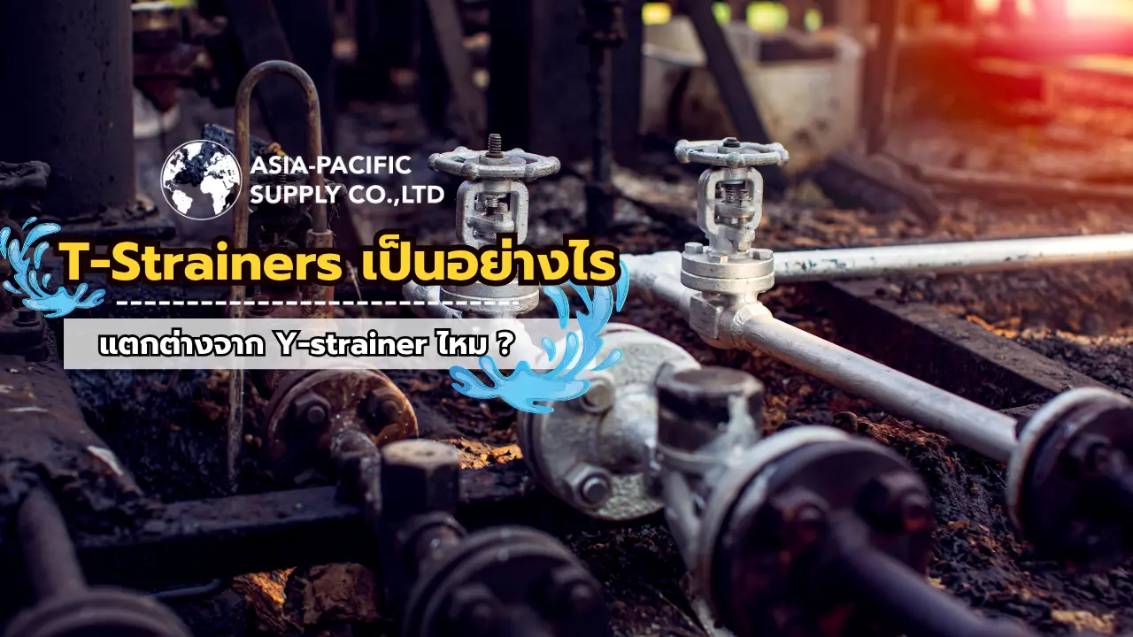 What is a T-type strainer? Is it different from a Y-strainer? - Asia ...